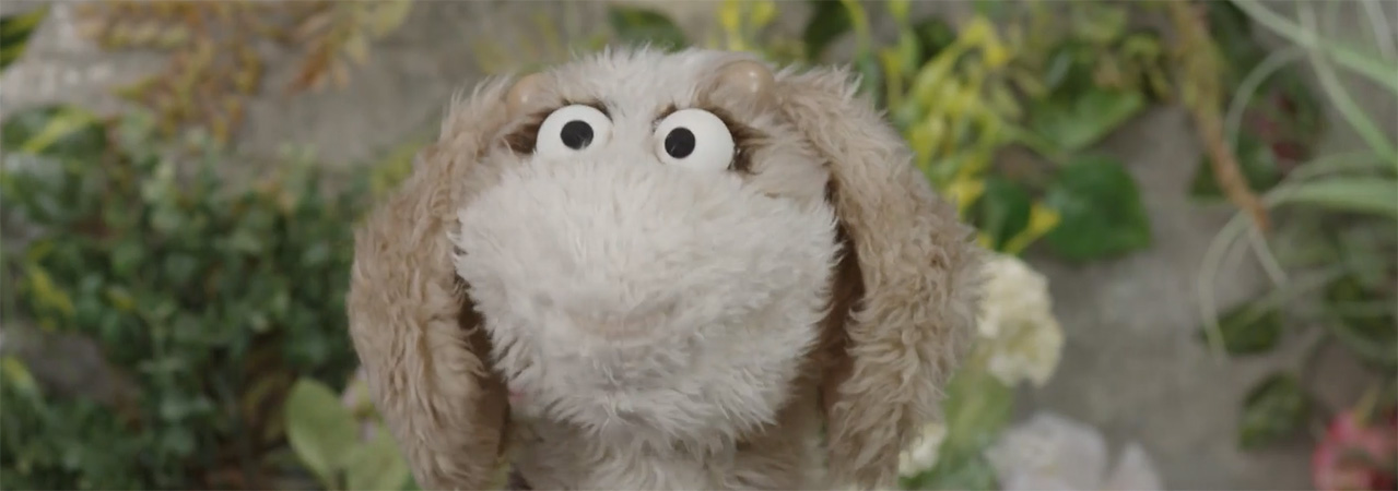 Ma’zooza’s height | Sesame Street